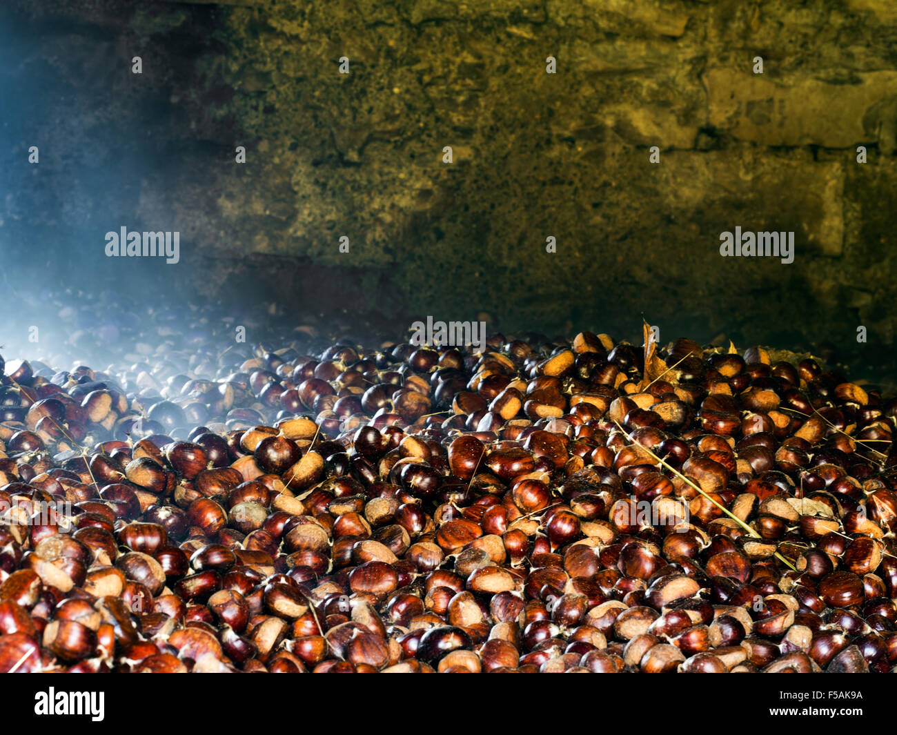 Inside the drying house aka gradili. Sweet chestnuts drying. Steam and ...