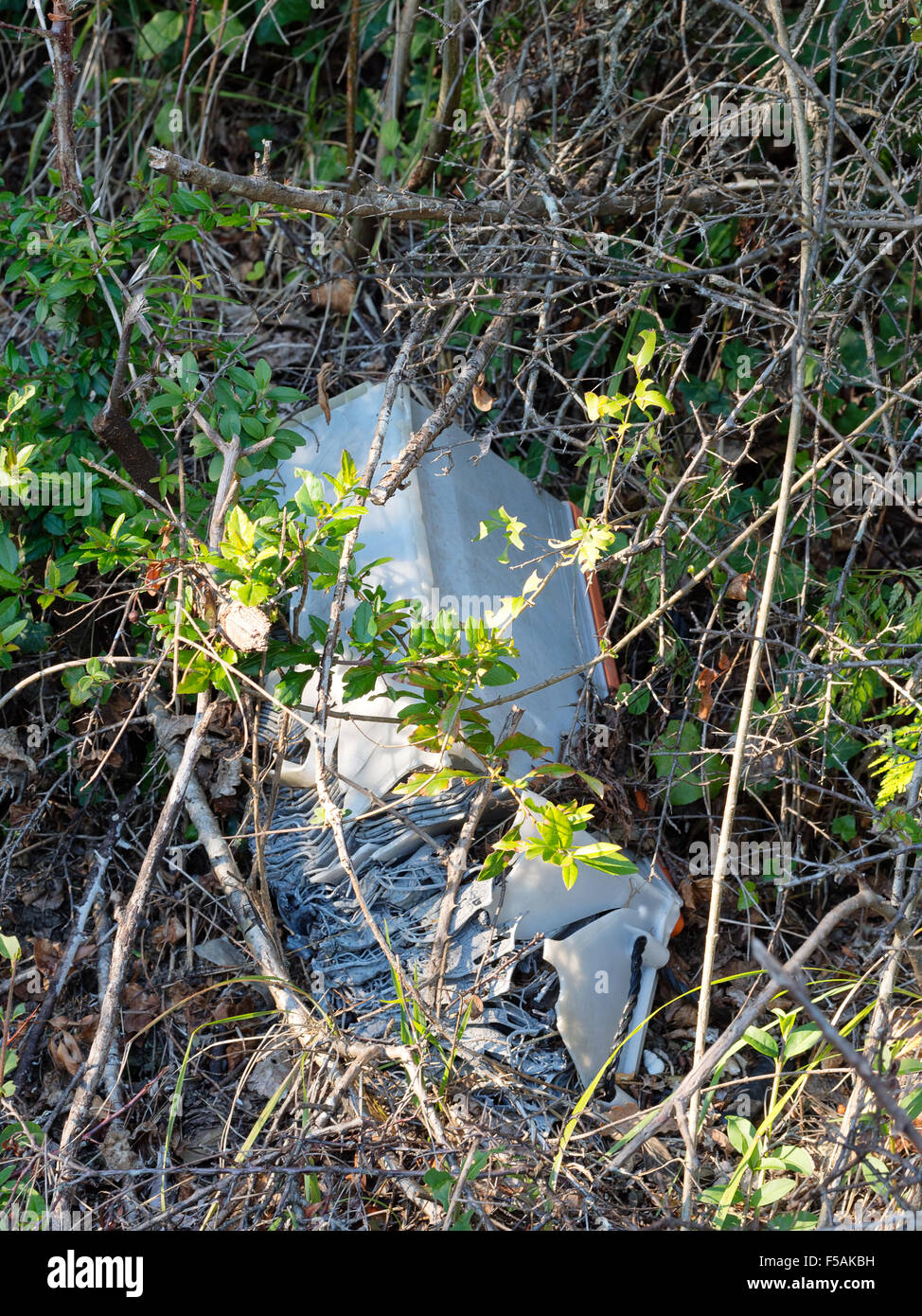 Old lead acid car battery discarded in hedge. Environmental pollution ...
