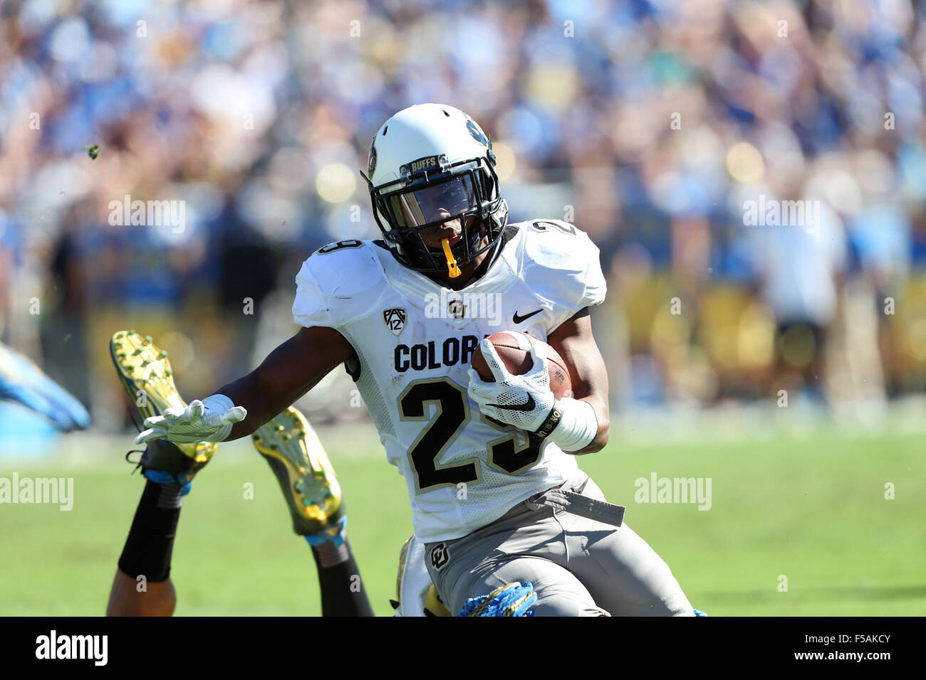 October 31, 2015 Colorado Buffaloes wide receiver Donovan Lee #29 ...