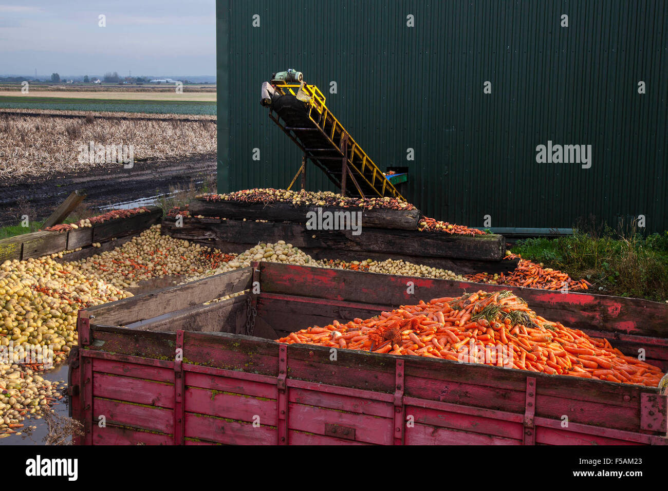 Food waste mountain hi-res stock photography and images - Alamy