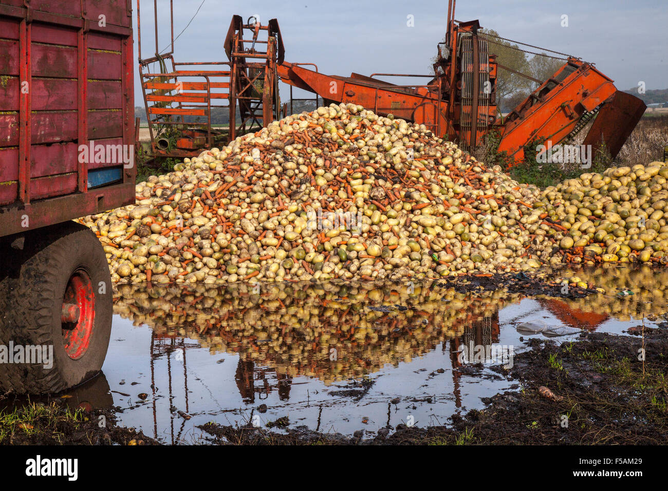 Food waste mountain hi-res stock photography and images - Alamy