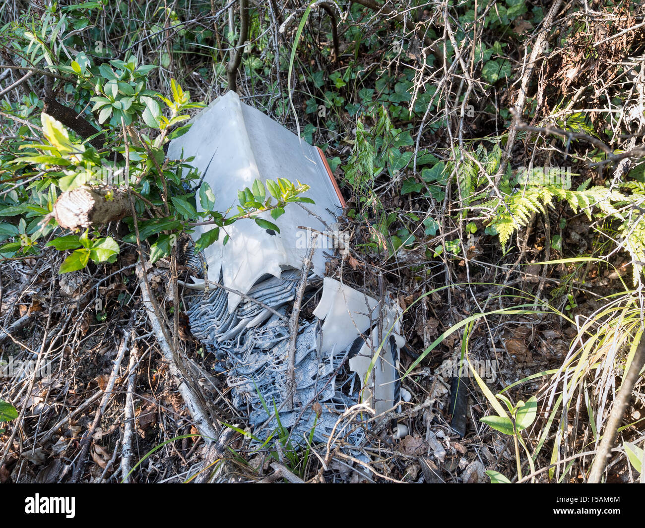 Old lead acid car battery discarded in hedge. Environmental pollution ...