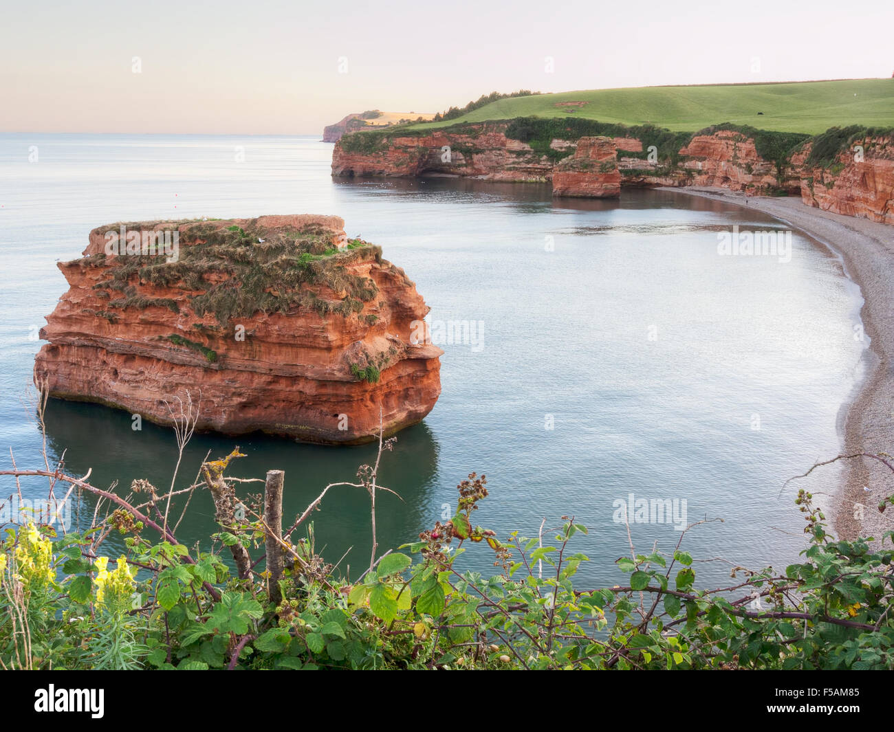 Ladram Bay red sandstone stacks, evening Stock Photo - Alamy