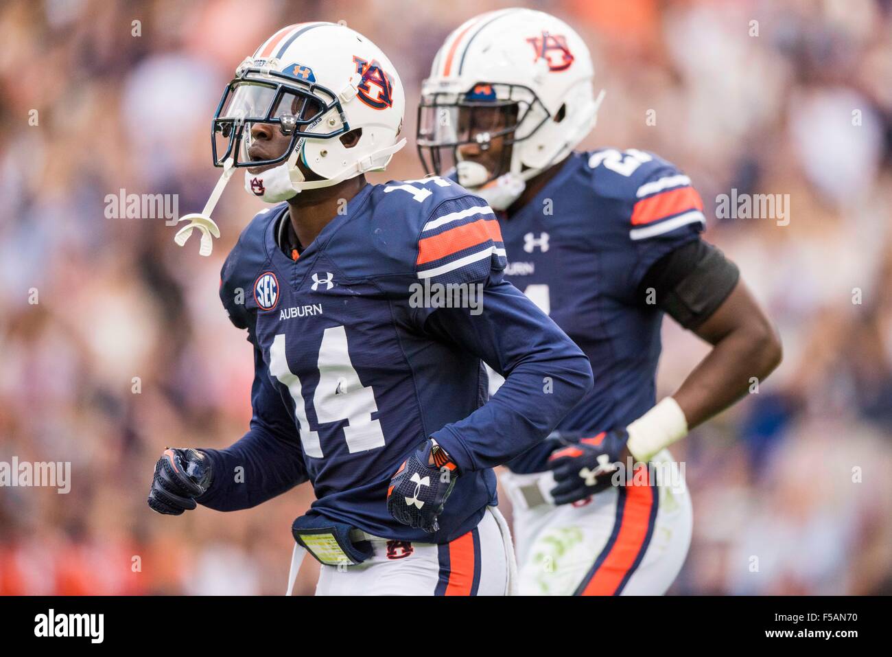 Stephen roberts hi-res stock photography and images - Alamy