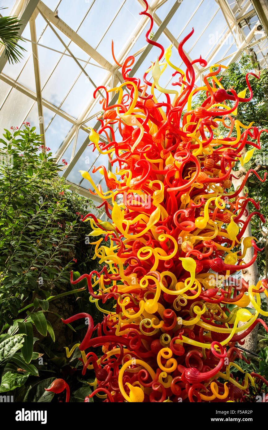 Chihuly botanical garden hi-res stock photography and images - Alamy