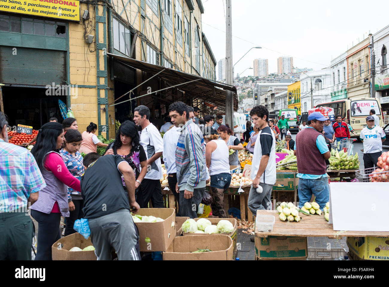 Cardonal hi-res stock photography and images - Alamy