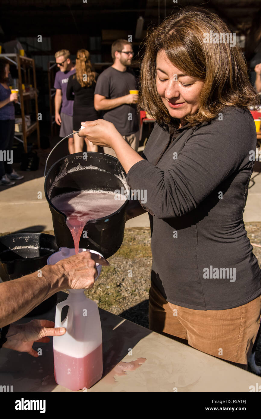 Woman pouring freshly made cider into individual cider bottles at a ...