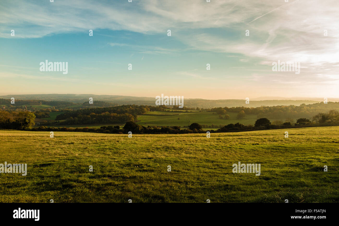 Surrey hills hi-res stock photography and images - Alamy