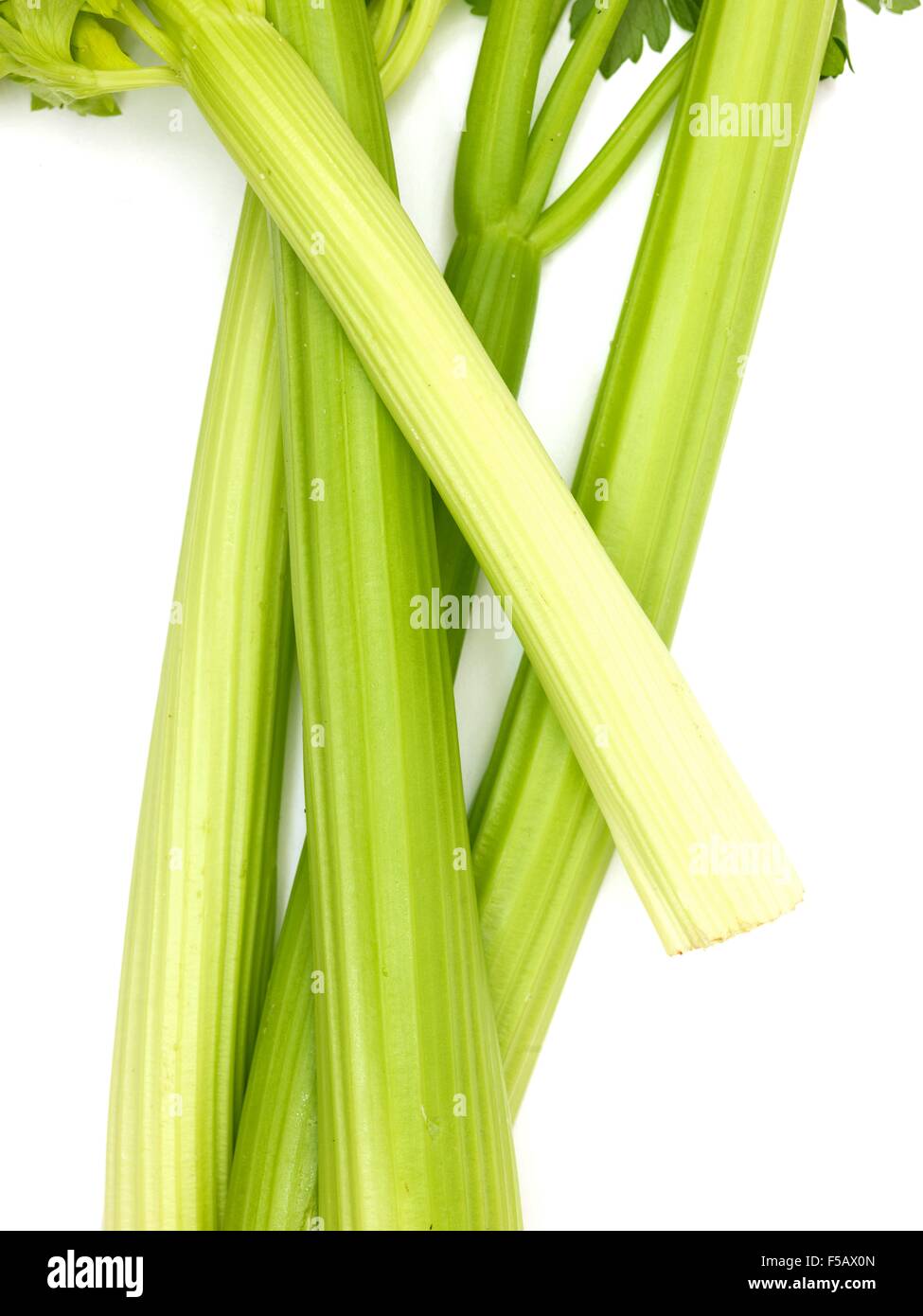 A close up photo of celery stalks Stock Photo - Alamy