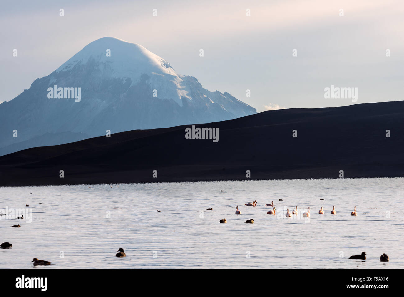 Sajama bolivia hi-res stock photography and images - Alamy
