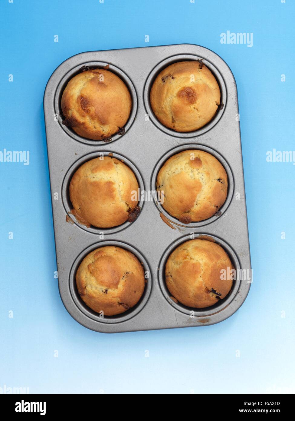 A close up studio phot of freshly back muffins Stock Photo - Alamy