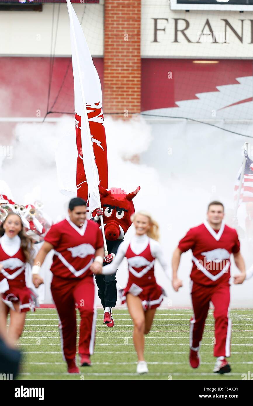 OCT 31, 2015: Big Red the Razorback mascot leads the team onto the ...