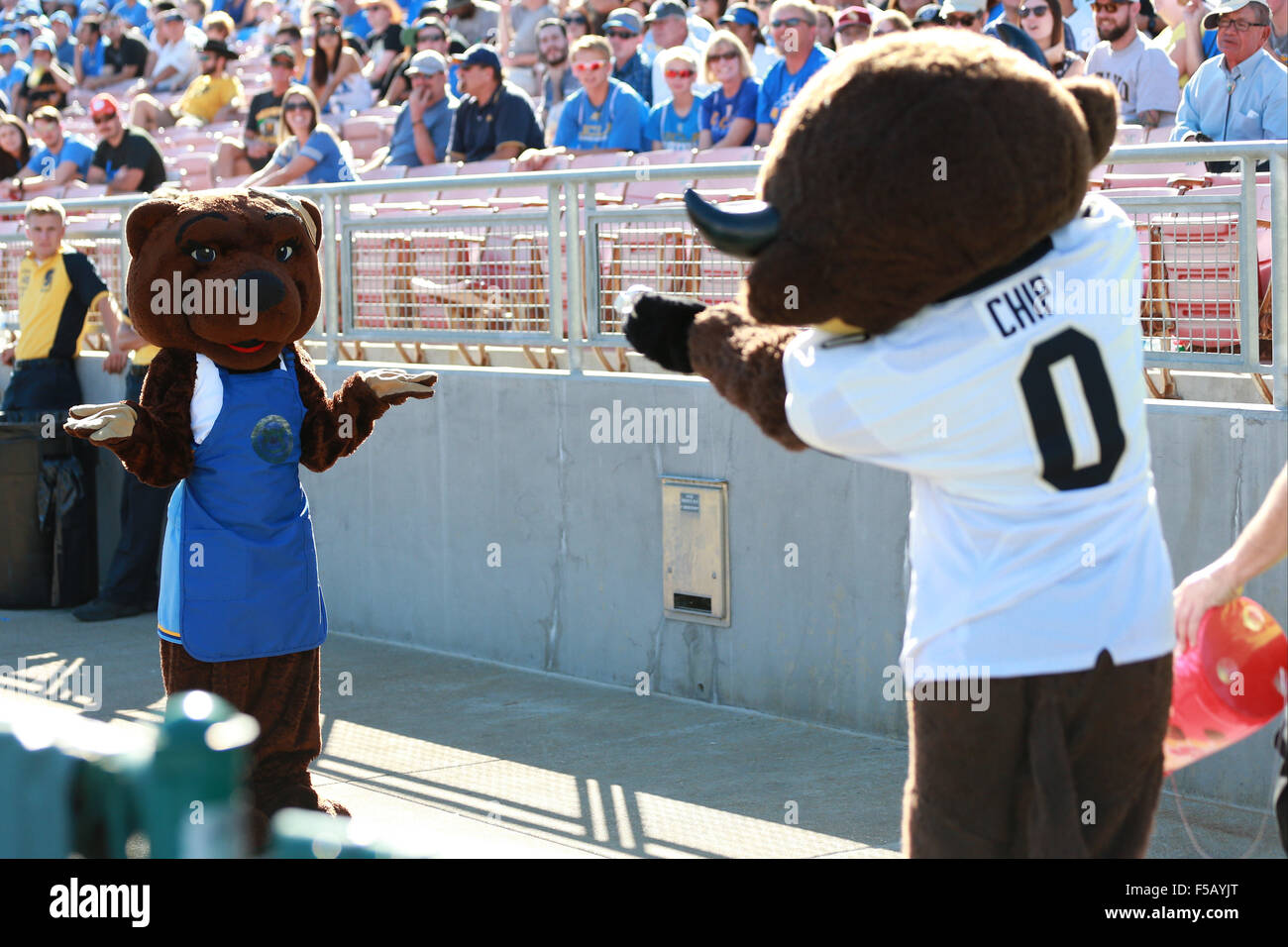 Pasadena, CA. 31st Oct, 2015. The Buffalo's mascot Chip tries to steal ...