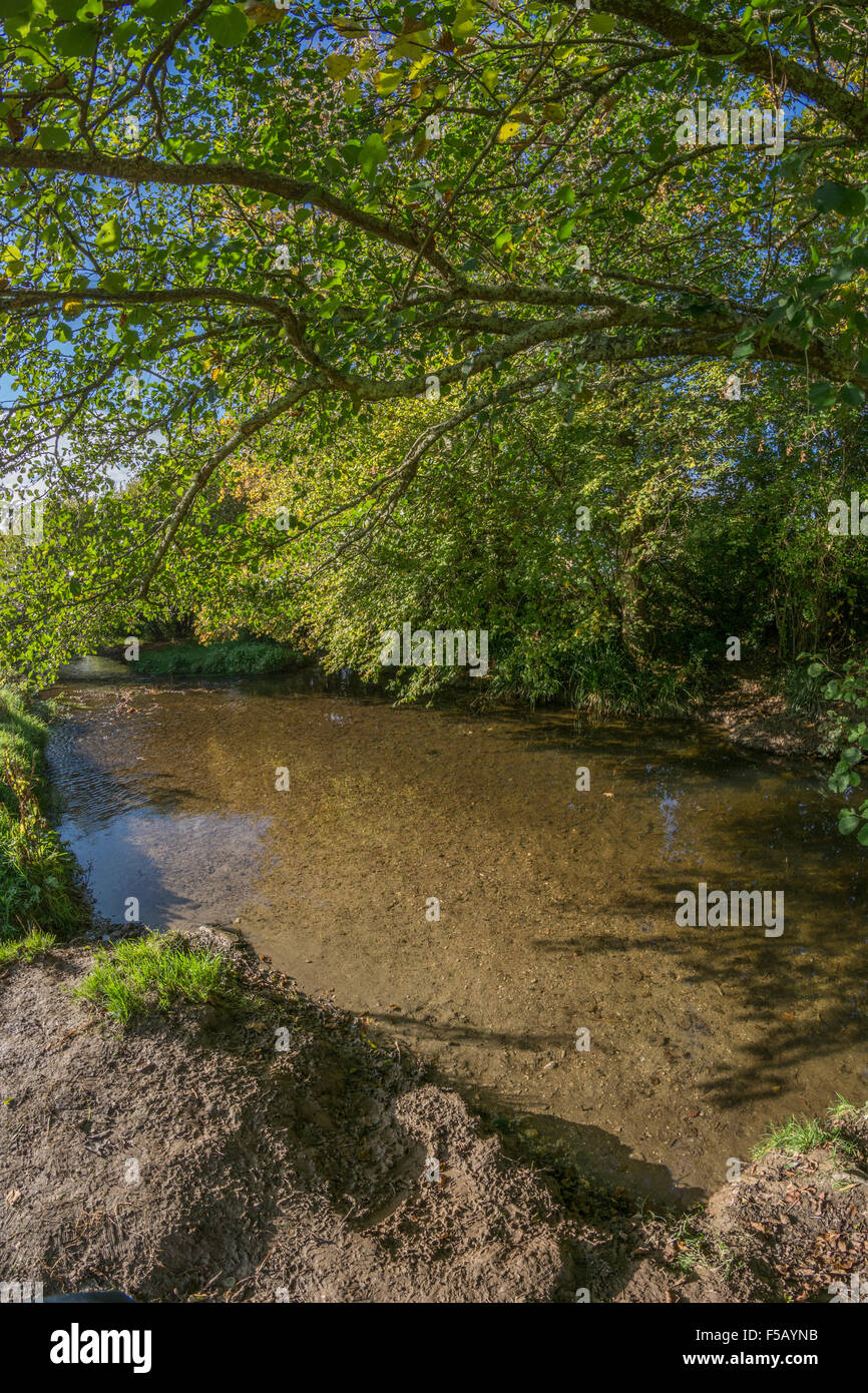 Far riverbank hi-res stock photography and images - Alamy
