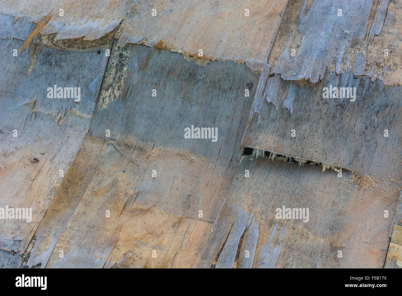 Frost covered plywood packaging beginning to weather and decay Stock ...