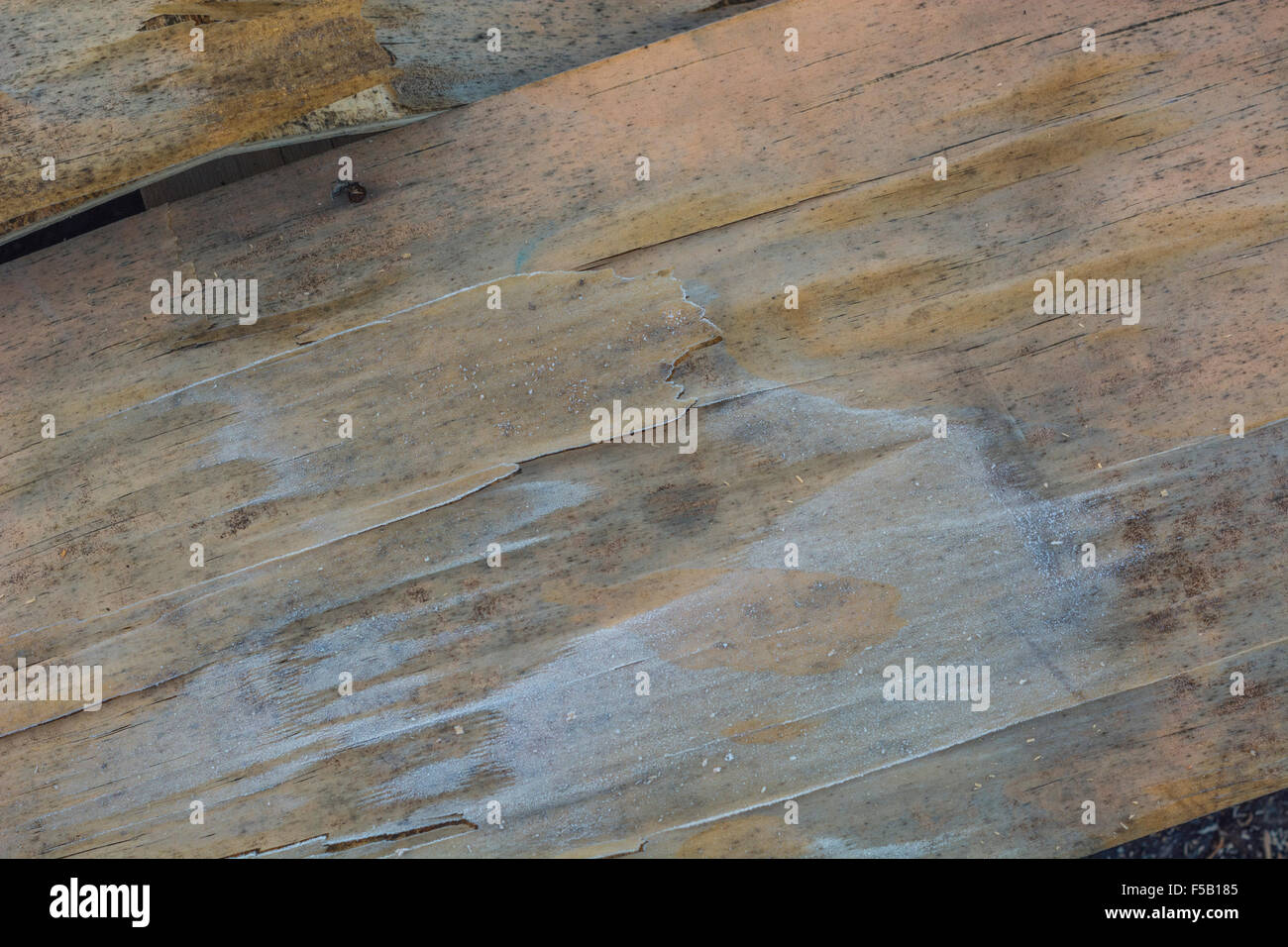 Frost covered plywood packaging beginning to weather and decay Stock ...