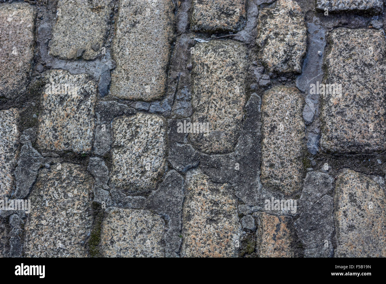 Cobblestone street surface in Truro, Cornwall. Granite stones ...
