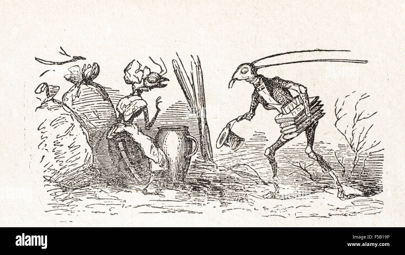 old fable illustration with insects Stock Photo - Alamy