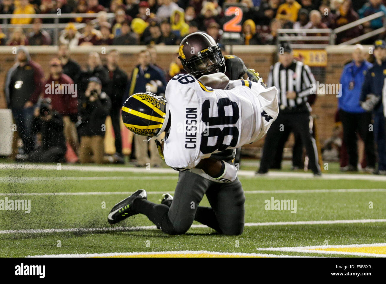 Minnesota wolverines hi-res stock photography and images - Alamy