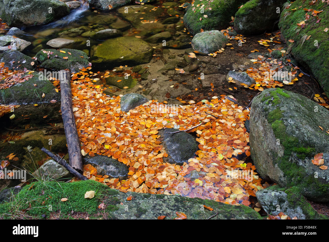 Rocks blocked hi-res stock photography and images - Alamy