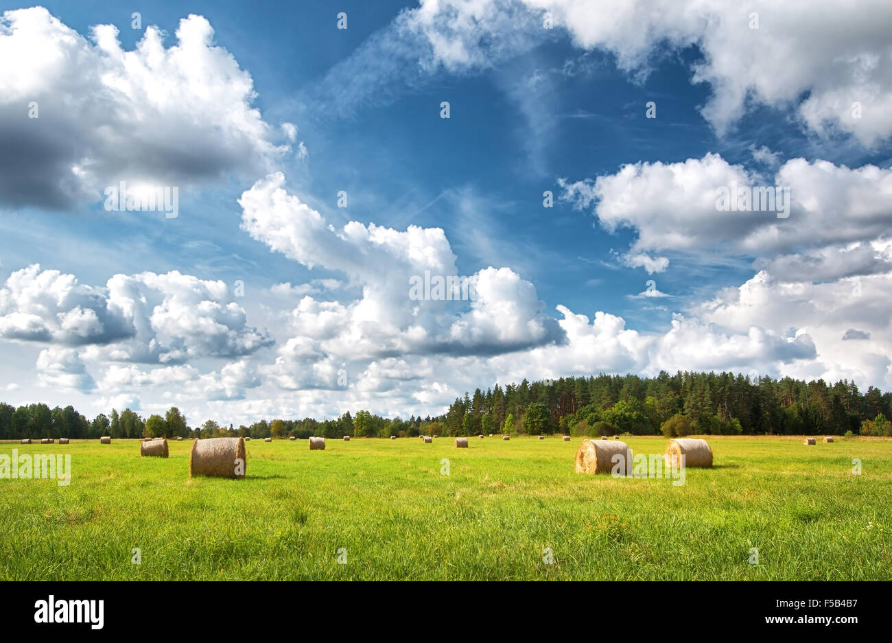 Hay bales with blue sky and fluffy clouds Stock Photo - Alamy