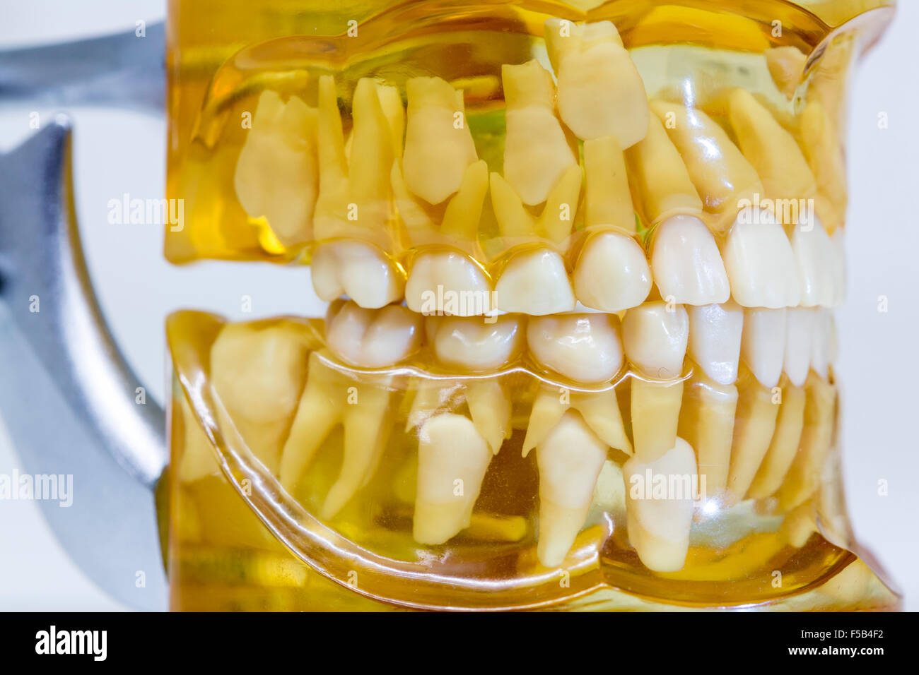 Dentist office, dental instruments, dental treatment, prevention ...