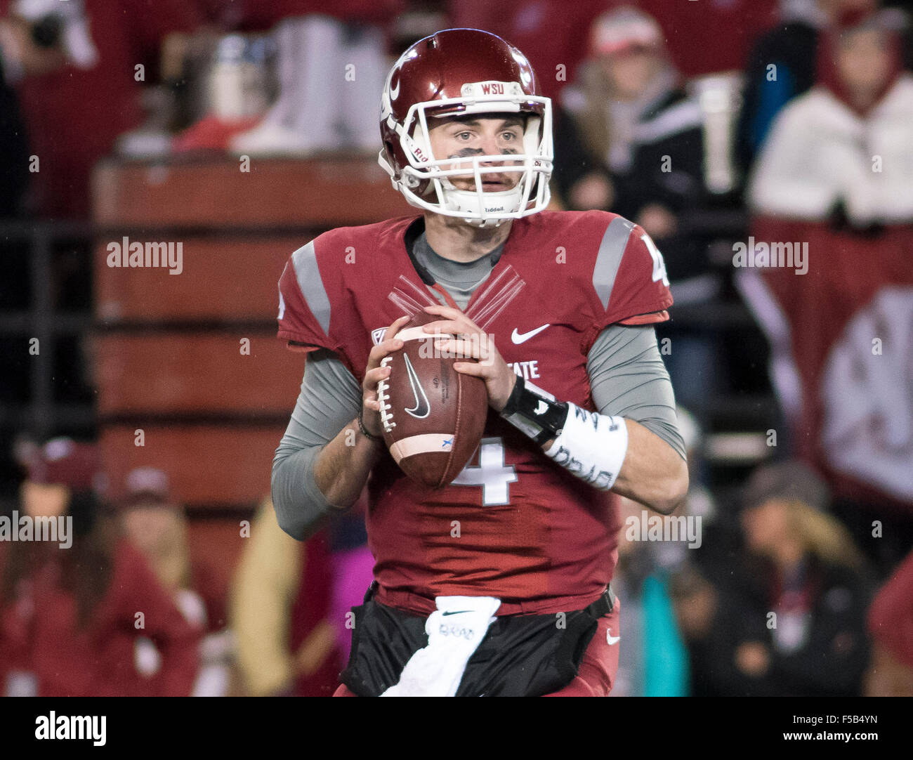 Pullman, Washington, USA. 31st Oct, 2015. Washington State Cougars ...