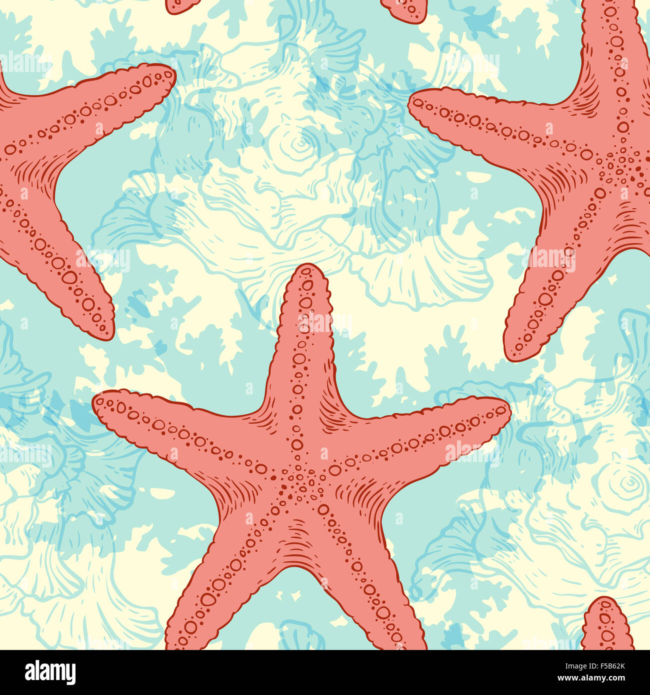 Starfish drawing hi-res stock photography and images - Alamy