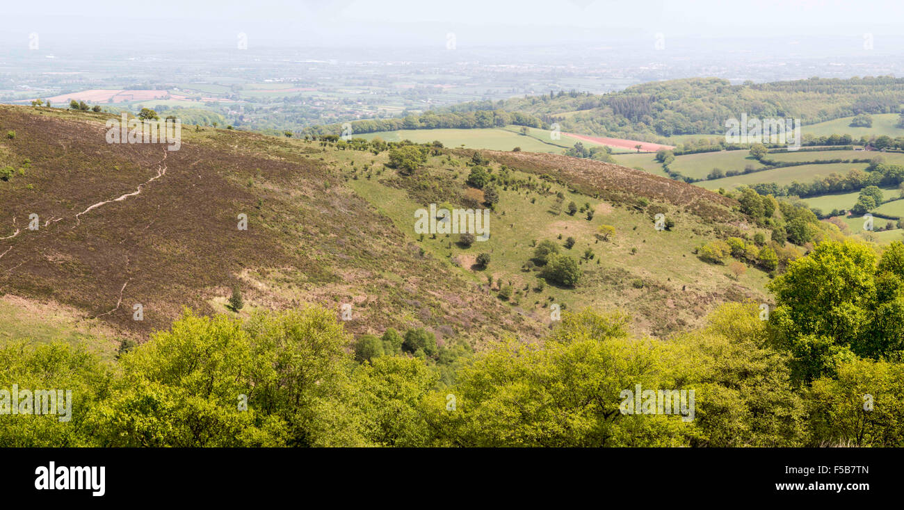 Quantock Hills - Somerset, UK Stock Photo - Alamy
