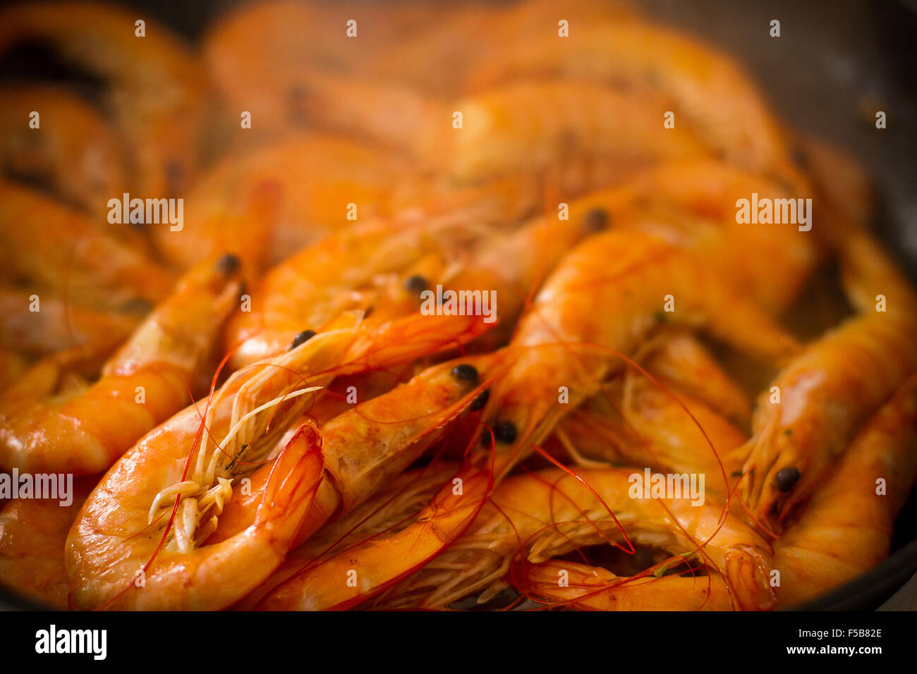 Large orange shrimp in pan as background, soft focus Stock Photo - Alamy