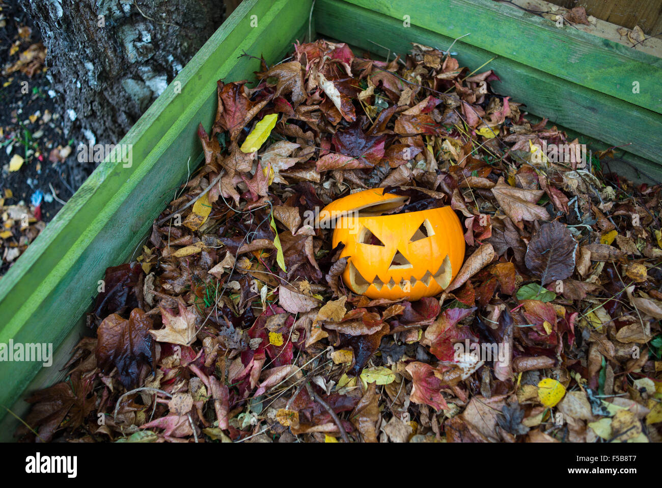 Discarded Halloween pumpkin on a compost heap Stock Photo - Alamy
