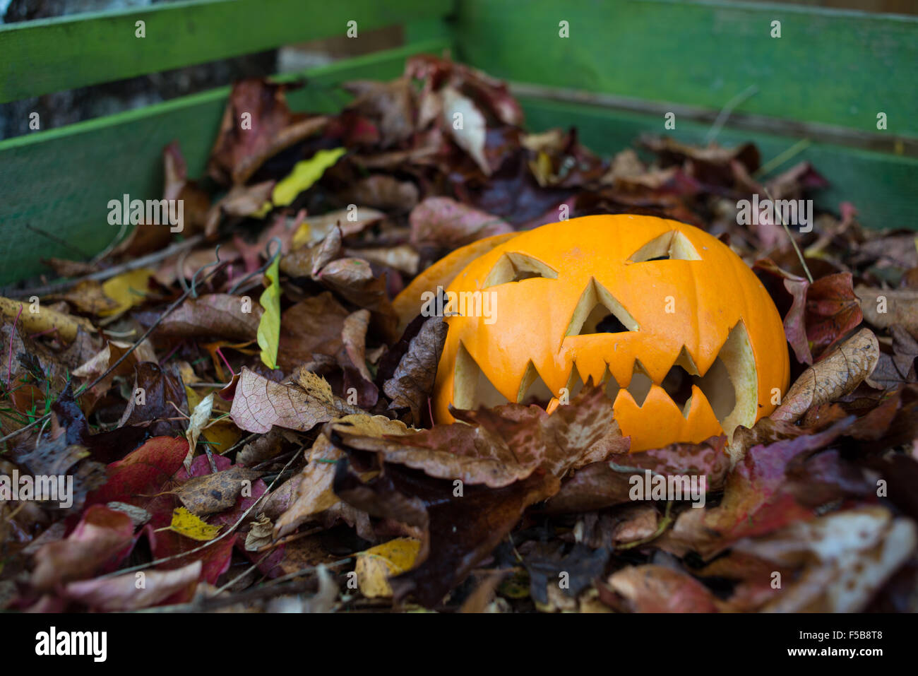 Pumpkin compost hi-res stock photography and images - Alamy