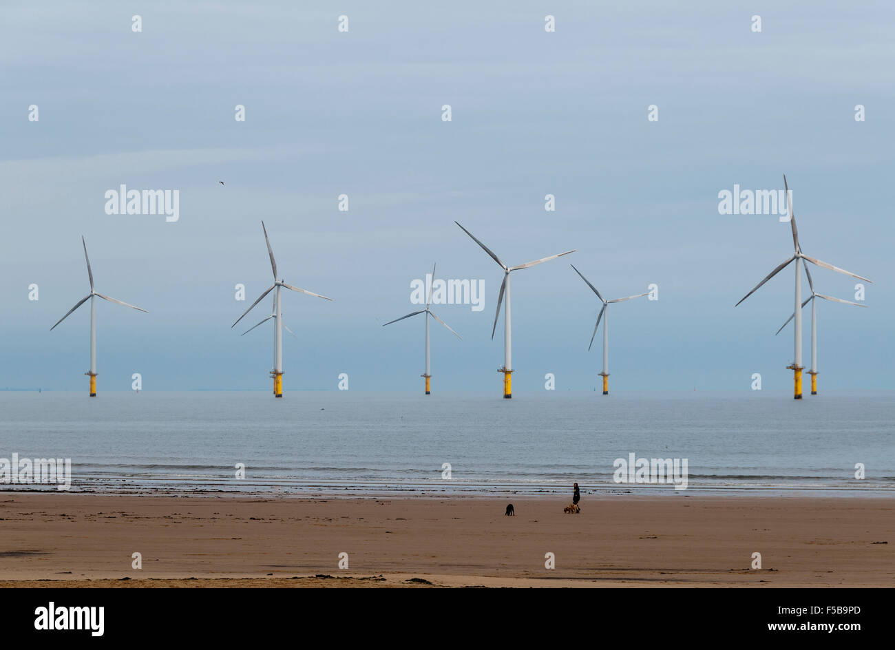 Redcar Wind Farm Teesside coast North Sea England Stock Photo - Alamy