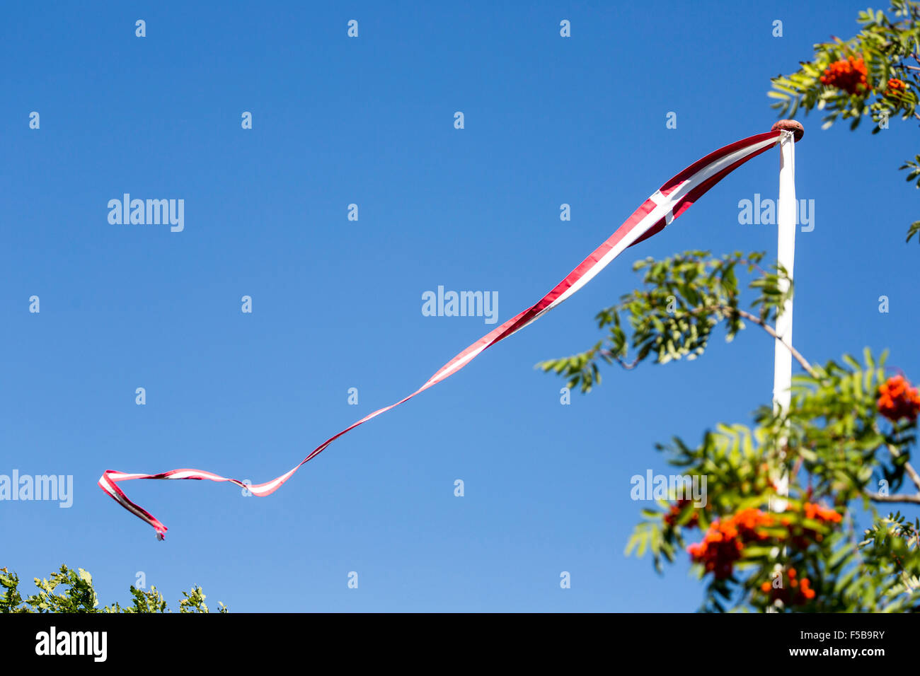 Danish pennant flag or vimpel flying against a clear blue sky Stock ...