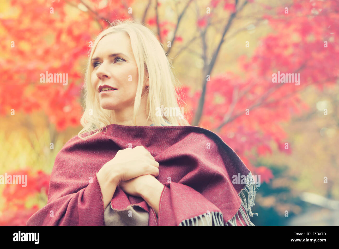 blond woman walking underneath colorful trees in autumn Stock Photo - Alamy