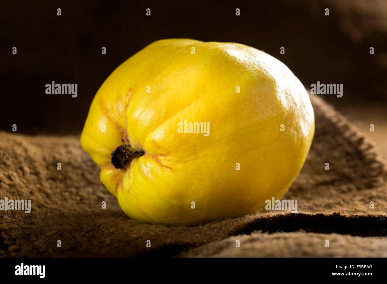 Natural ripe quince on a canvas bag background Stock Photo - Alamy