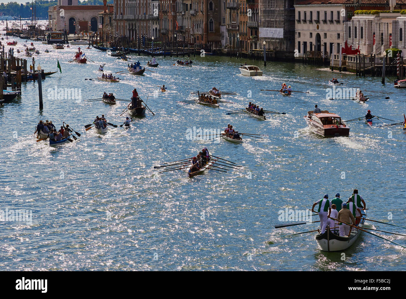 Italian rowing team hi-res stock photography and images - Alamy