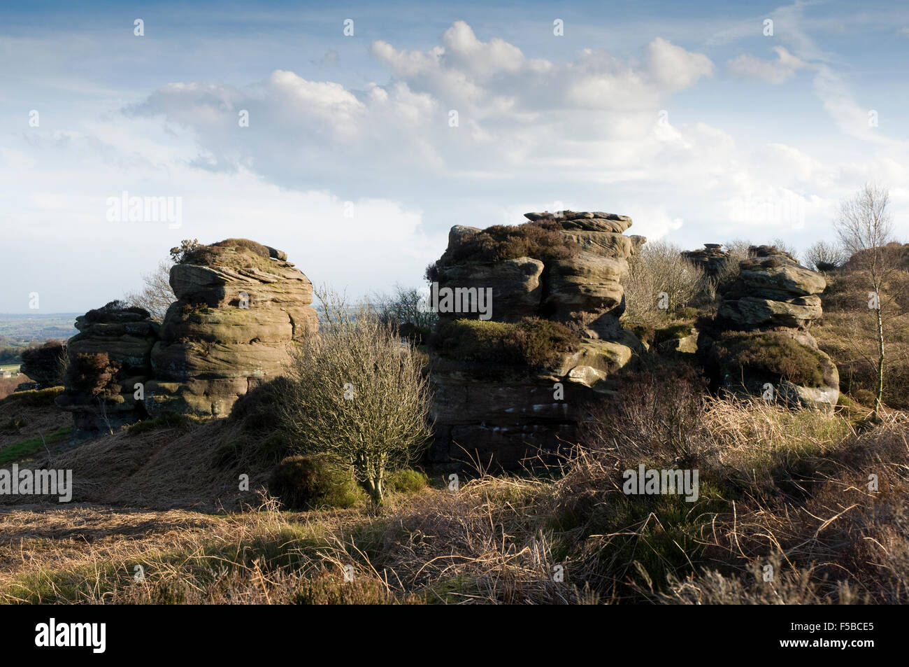 Brimham Rocks, Yorkshire, England Stock Photo - Alamy