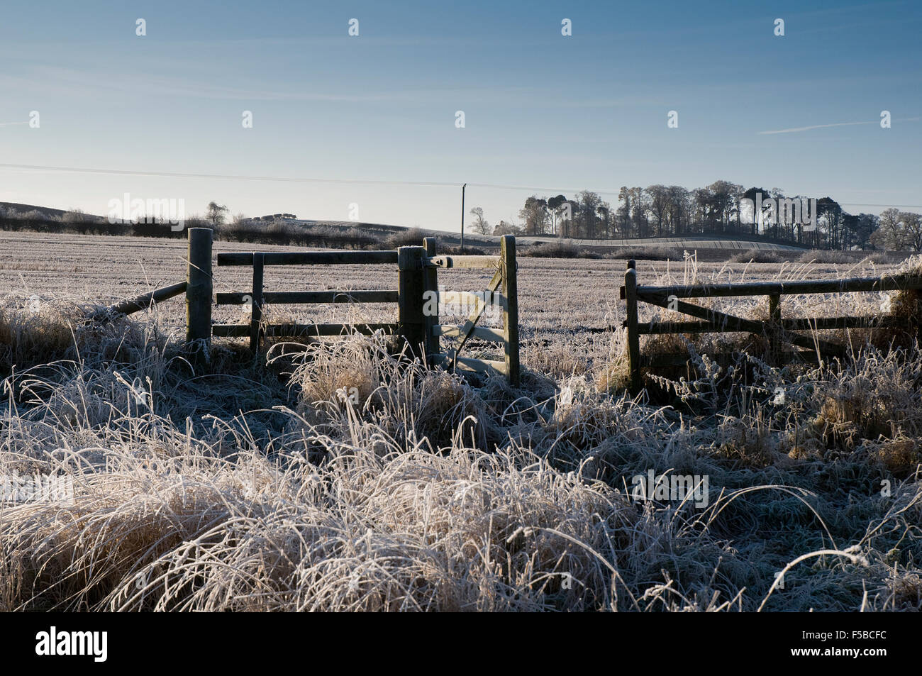 Frost gate hi-res stock photography and images - Alamy