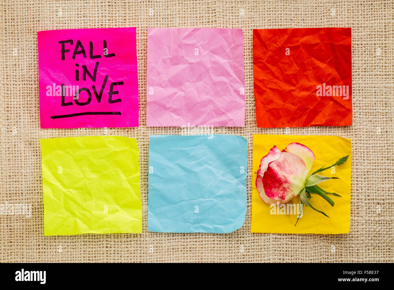 fall in love advice or reminder on sticky notes with a rose flower ...