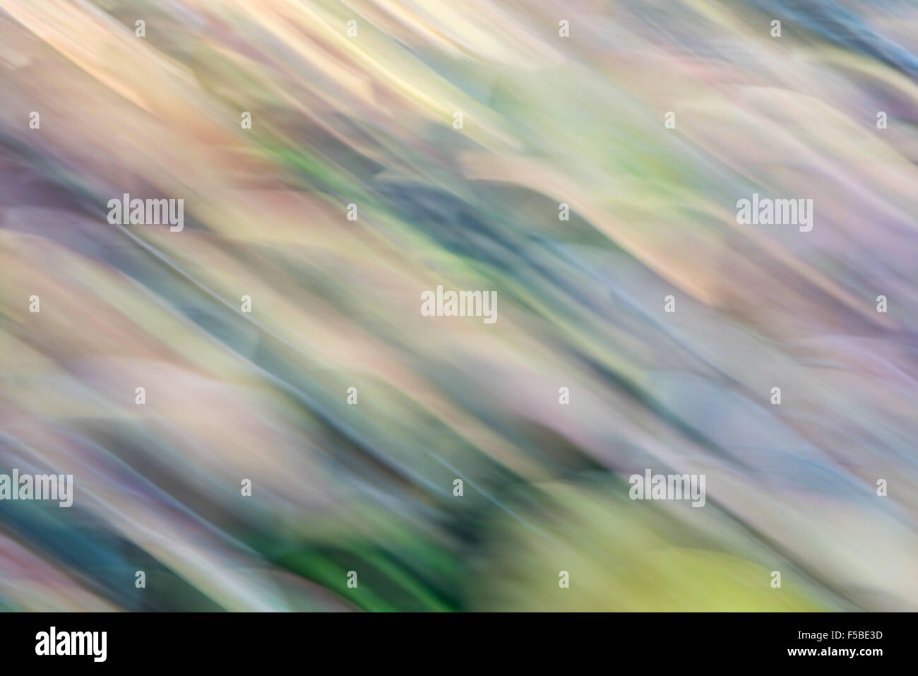diagonal motion blur abstract of fall color foliage Stock Photo - Alamy