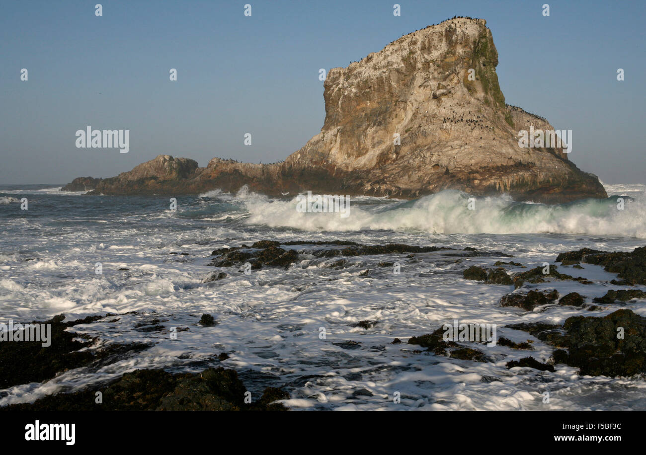 A sea stack along the wild coastline of the King Range National ...