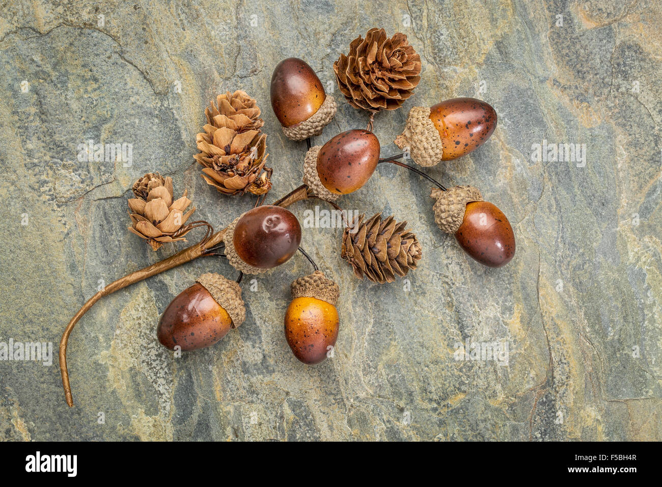 acorn and cone fall decoration on a slate stone background Stock Photo ...