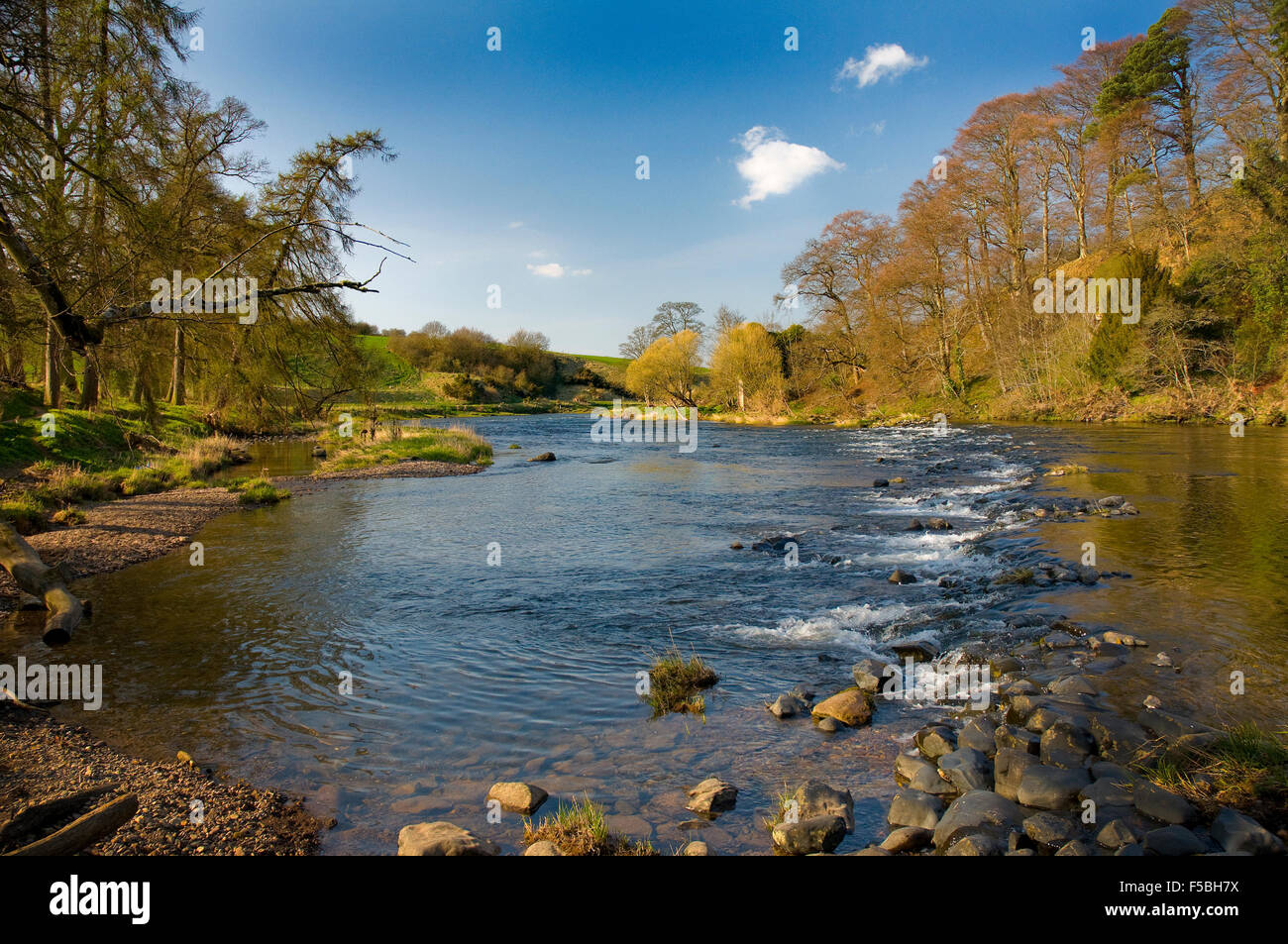 River Teviot at Sunlaws Mill, nr Roxburgh, Scottish Borders Stock Photo ...