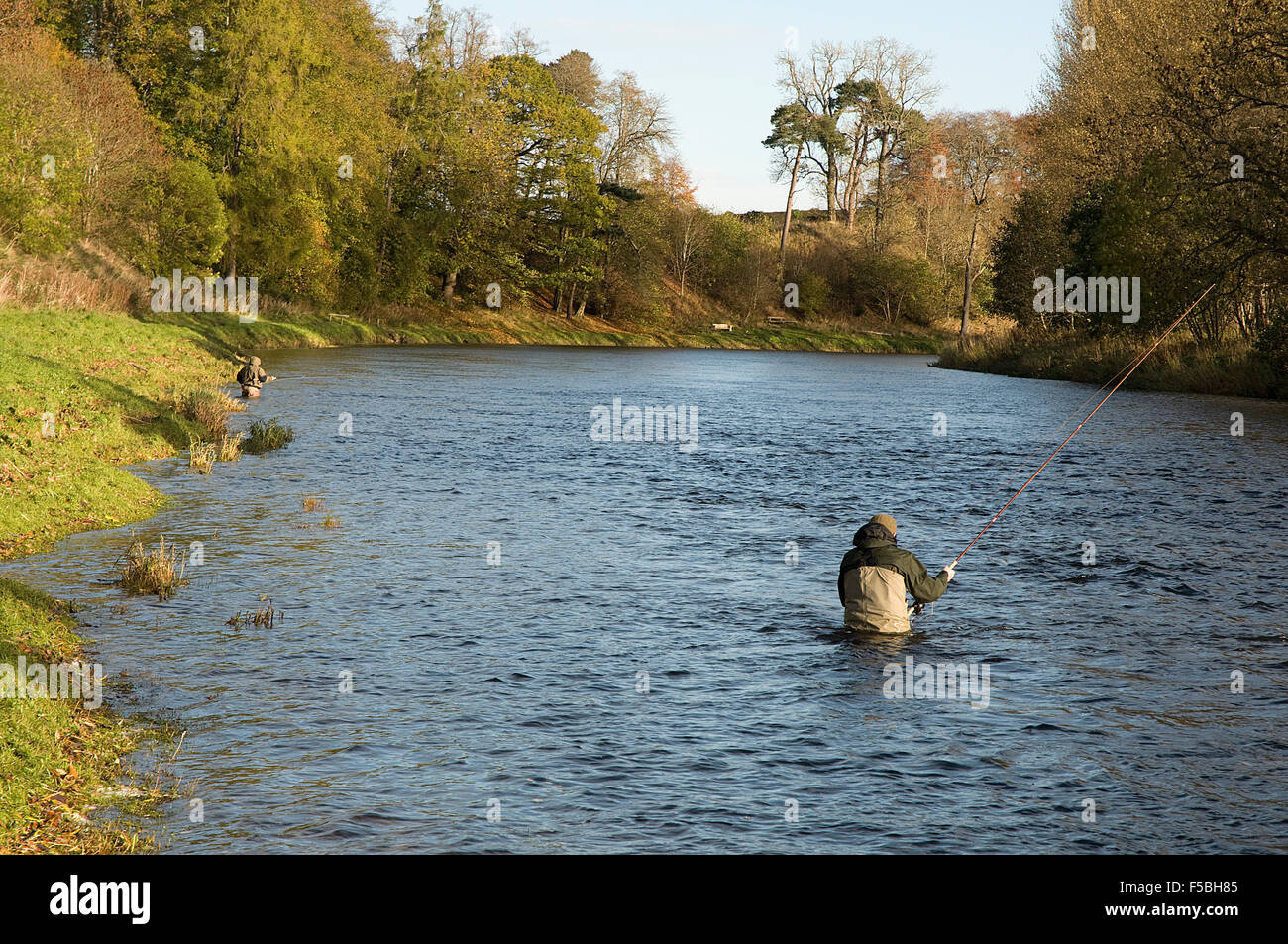 Salmon fishing on the river Teviot at Roxburgh Castle, Scottish Borders ...