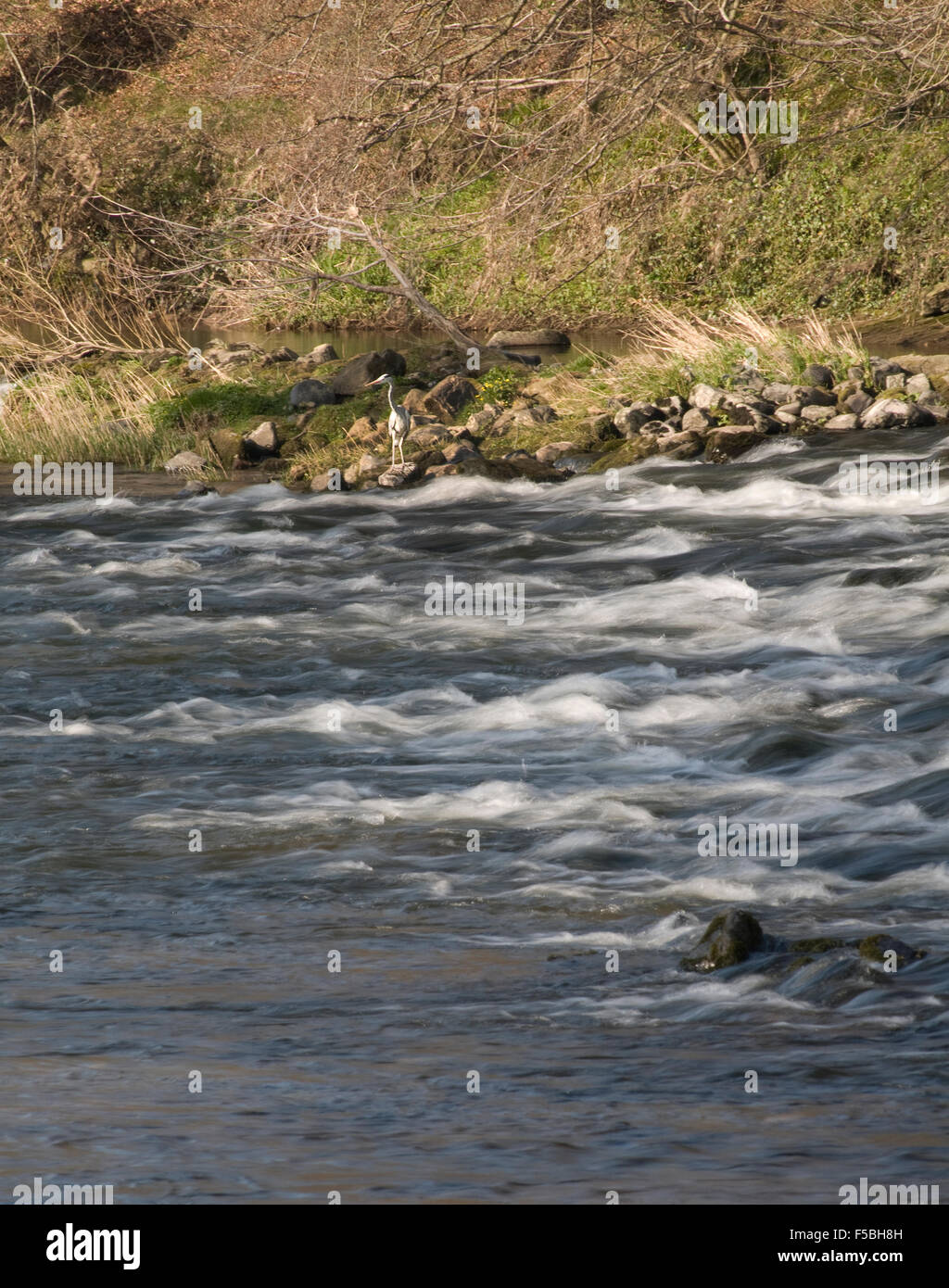 Teviot hi-res stock photography and images - Alamy