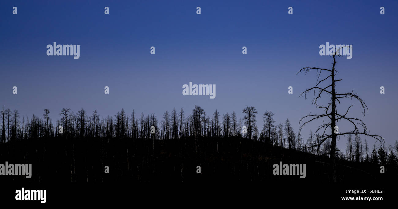 Destroyed landscape by night hi-res stock photography and images - Alamy