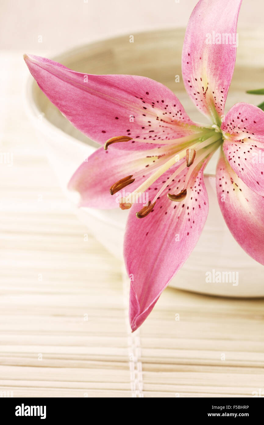White lily spa hi-res stock photography and images - Alamy