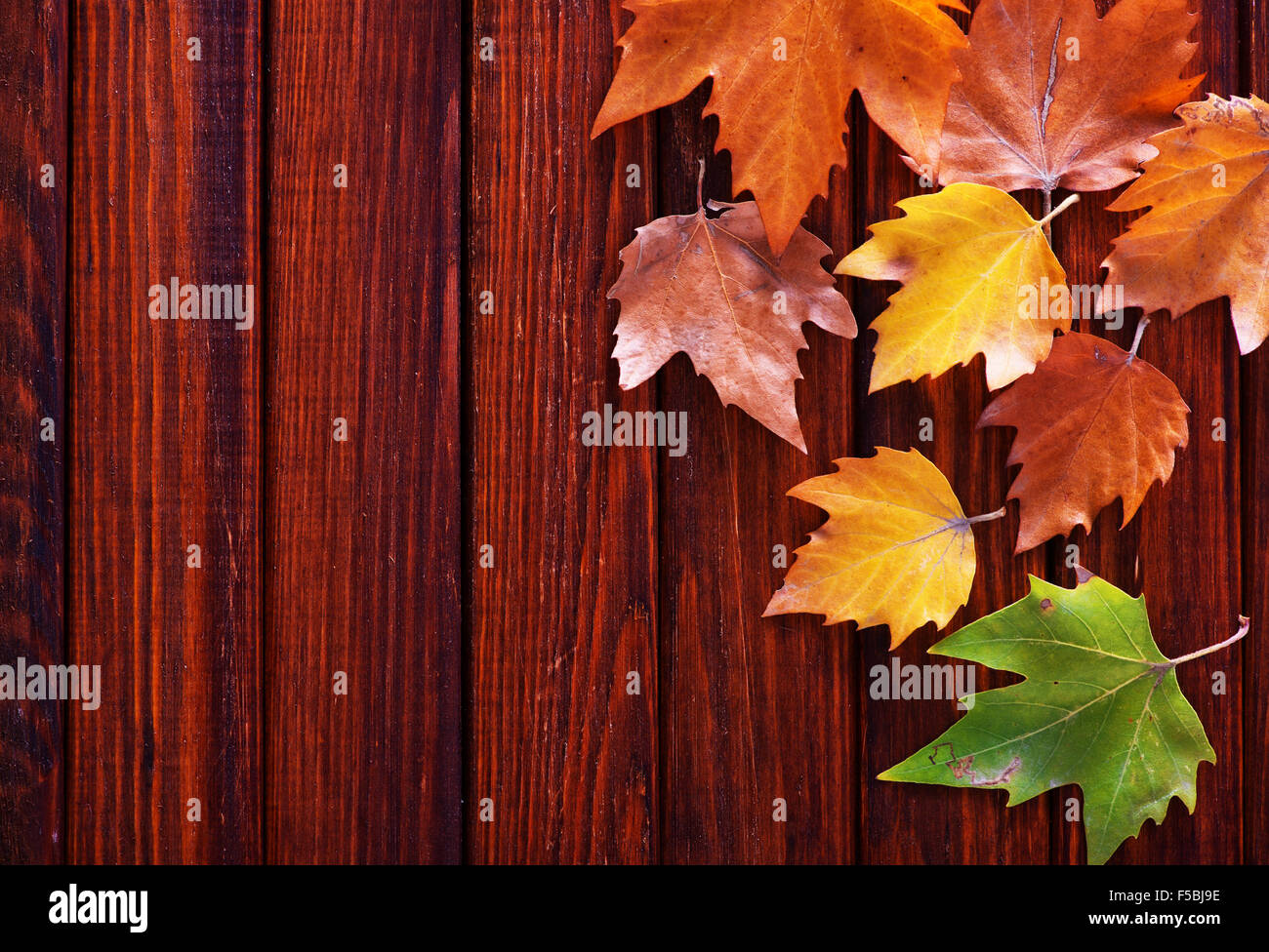 autumn background, yellow leaves on a table Stock Photo - Alamy