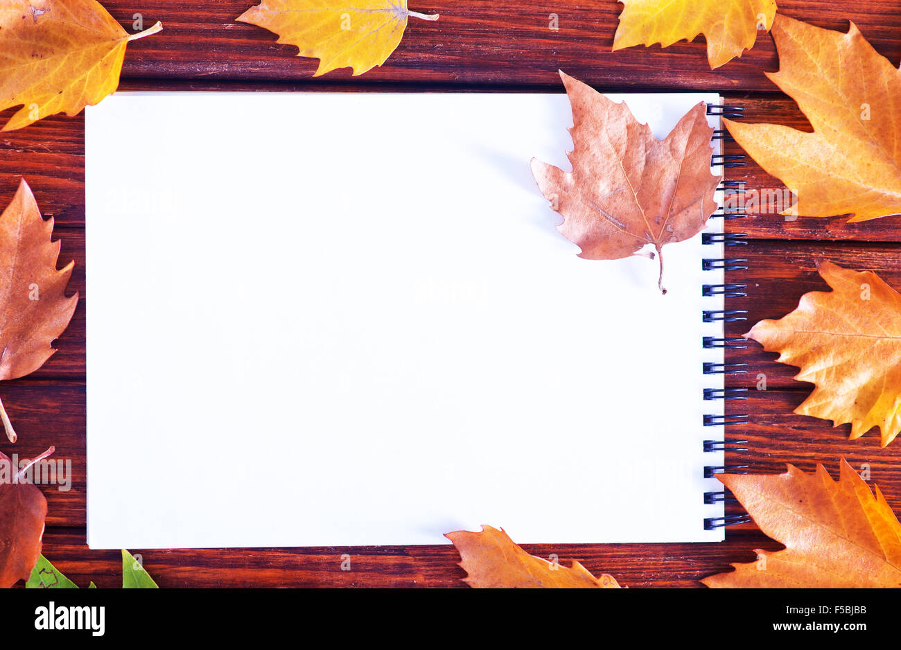 autumn background, yellow leaves on a table Stock Photo - Alamy